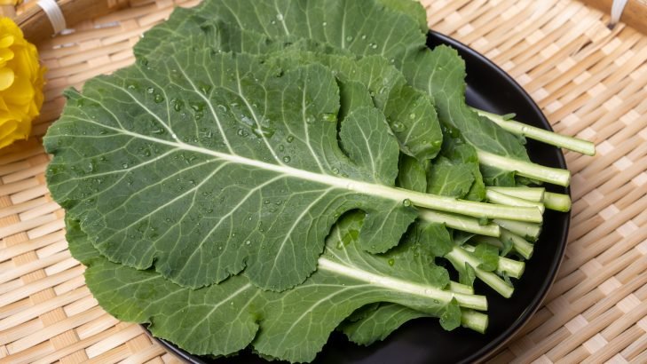 Couve: benefícios, usos e como consumir - Blog nutritivo