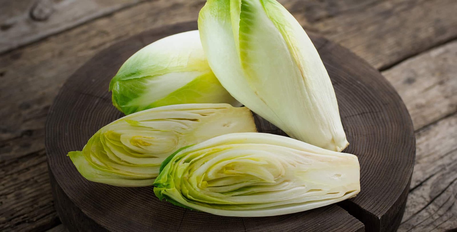 Endívia: amargor elegante que ilumina o paladar - Blog nutritivo