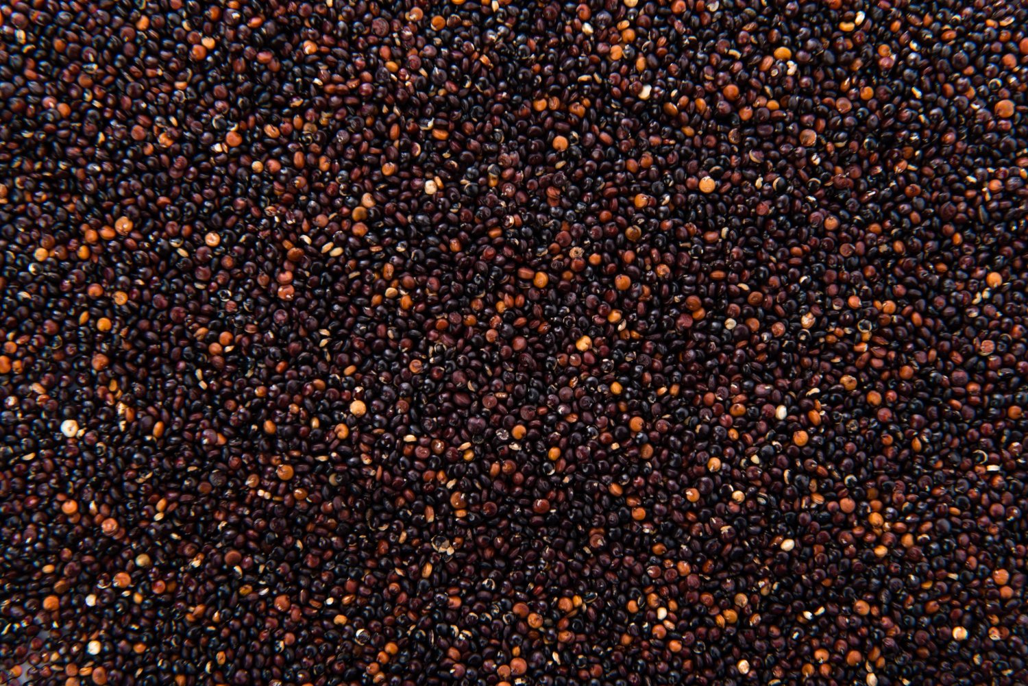 Kaniwa: grão andino que fortalece e surpreende - Blog nutritivo